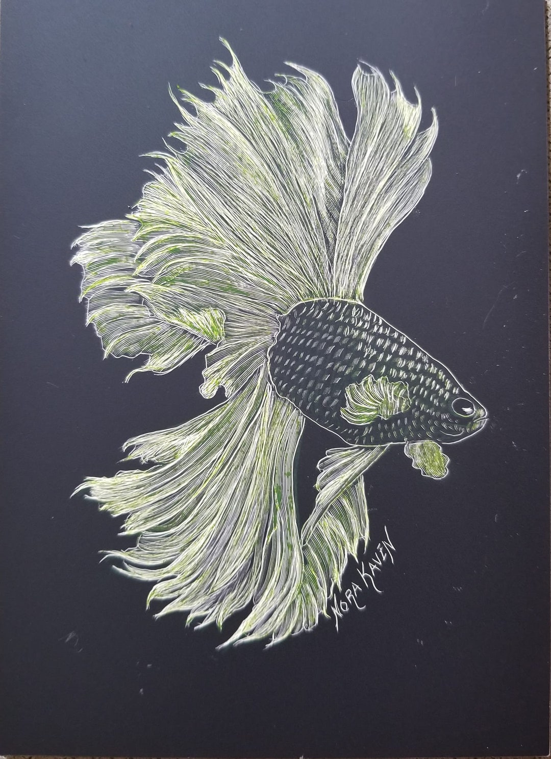 Betta, Fish, Fighting Fish, Green Betta, 5x7, Scratchart, Etching ...