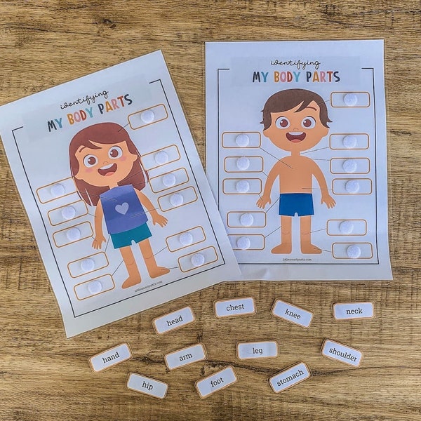 Human Body Book - Etsy