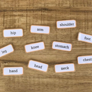 Face Parts, Body Part, Preschool Printable, Busy Book Printable ...