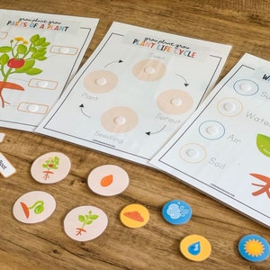 Parts of Plant, Plant Life Cycle, Plant Activity, Nature Study ...