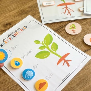 Parts of Plant, Plant Life Cycle, Plant Activity, Nature Study ...