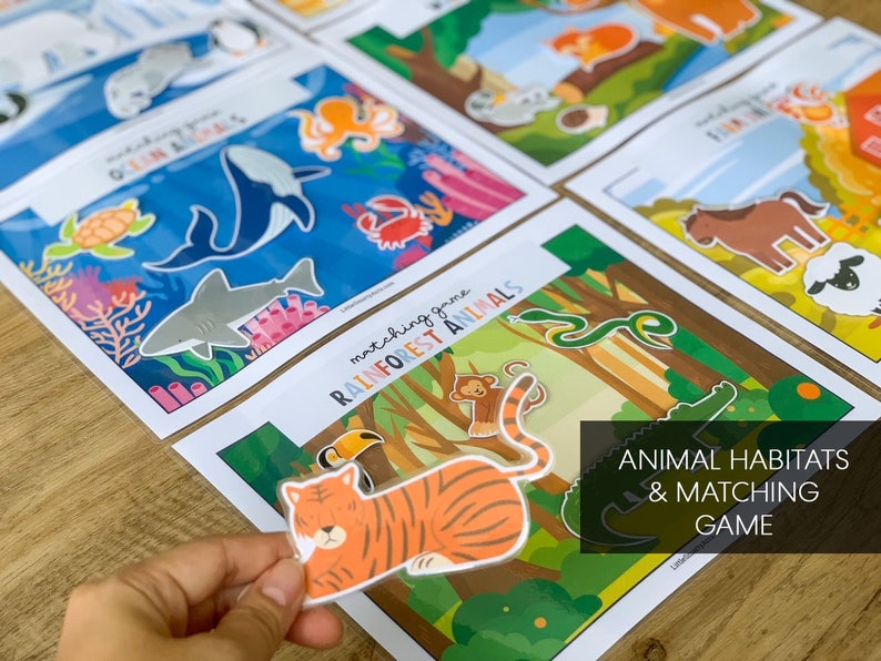 Animal Matching Learning Animals Printable Animal Activity | Etsy