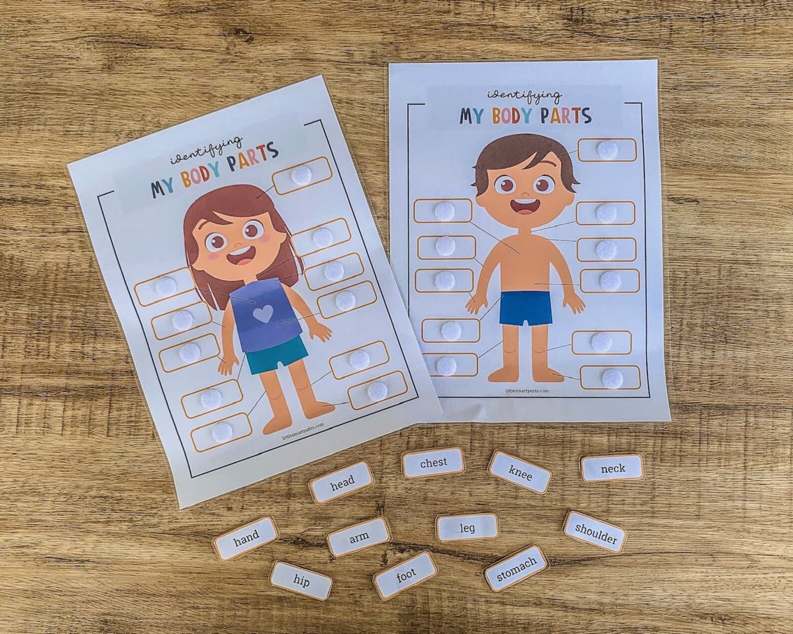 Busy Book Human Body Face Parts Body Parts Human Anatomy | Etsy