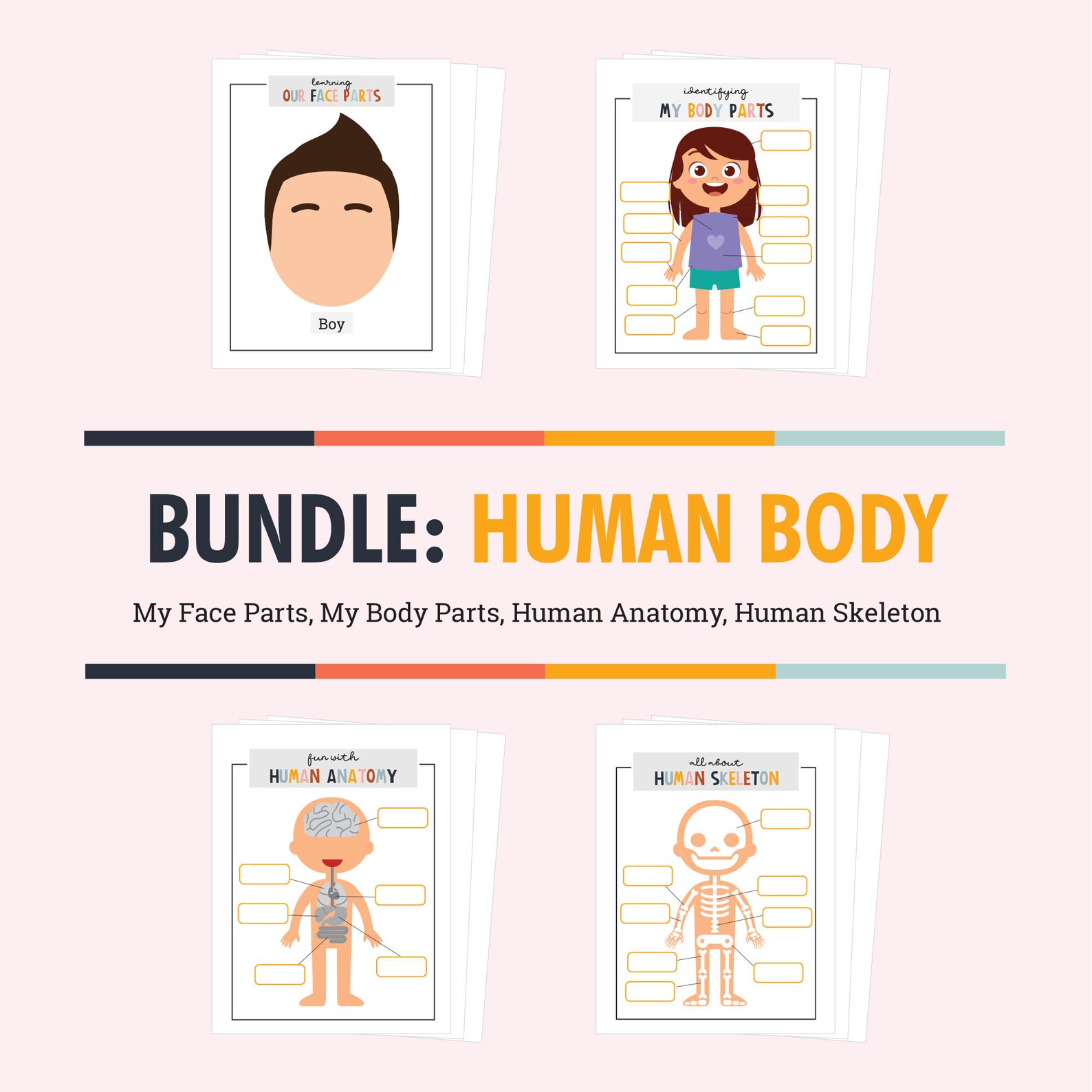 Busy Book Human Body Face Parts Body Parts Human Anatomy | Etsy