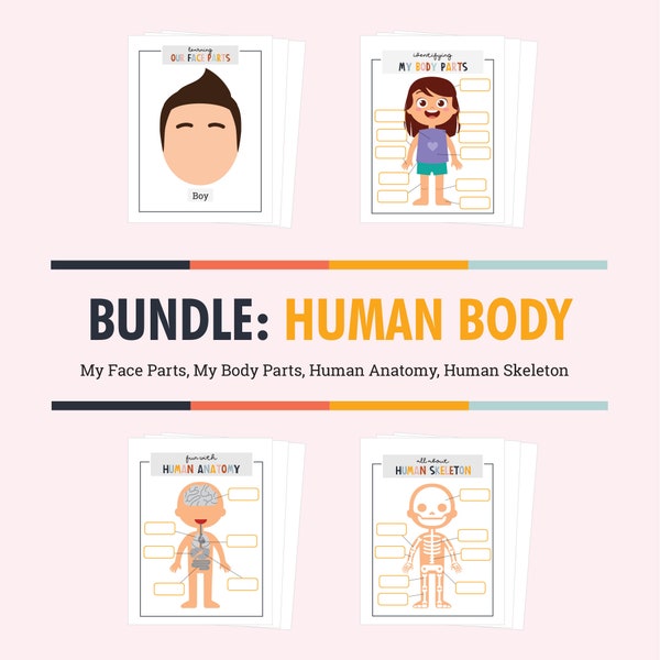 Human Body Book - Etsy