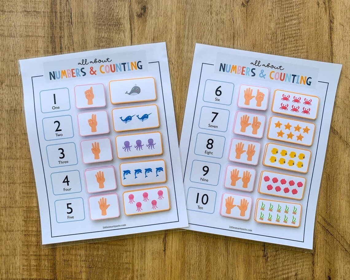 Numbers and Counting Counting Printable Number Activity | Etsy
