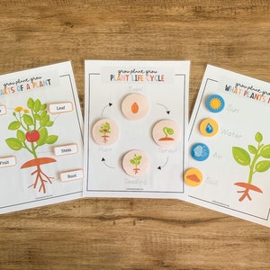 Parts of Plant, Plant Life Cycle, Plant Activity, Nature Study ...