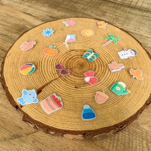 Match the Season, Seasons Printable, Circle Time, Seasons Sorting ...