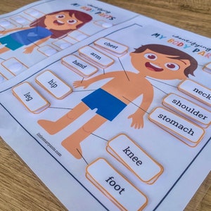 Face Parts, Body Part, Preschool Printable, Busy Book Printable ...