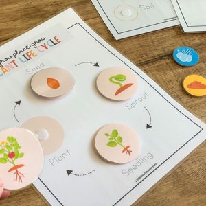 Parts of Plant, Plant Life Cycle, Plant Activity, Nature Study ...