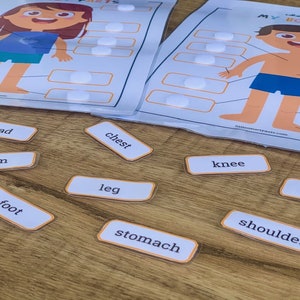 Face Parts, Body Part, Preschool Printable, Busy Book Printable ...