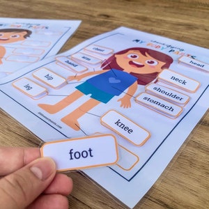 Face Parts, Body Part, Preschool Printable, Busy Book Printable ...