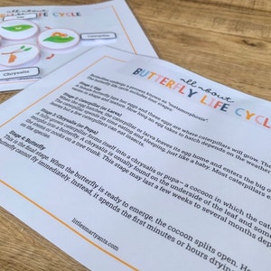 Butterfly Printable, Learning Life Cycle, Nature Study, Homeschool ...