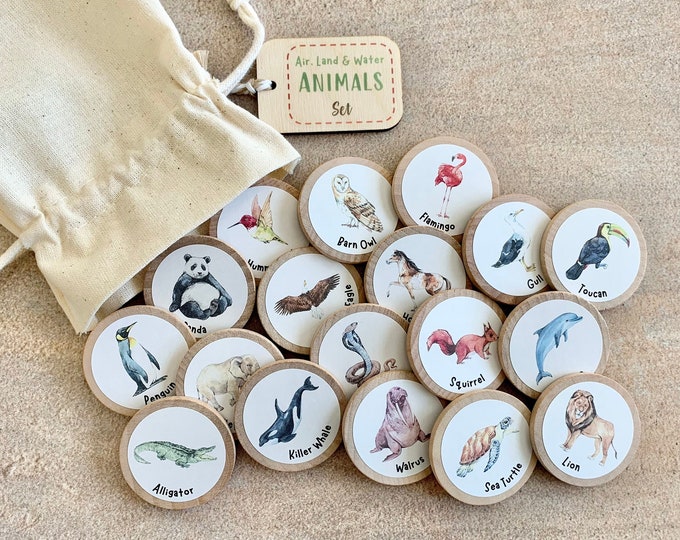 Montessori and Waldorf Learning Wild Animals Sustainable Match Toys ...