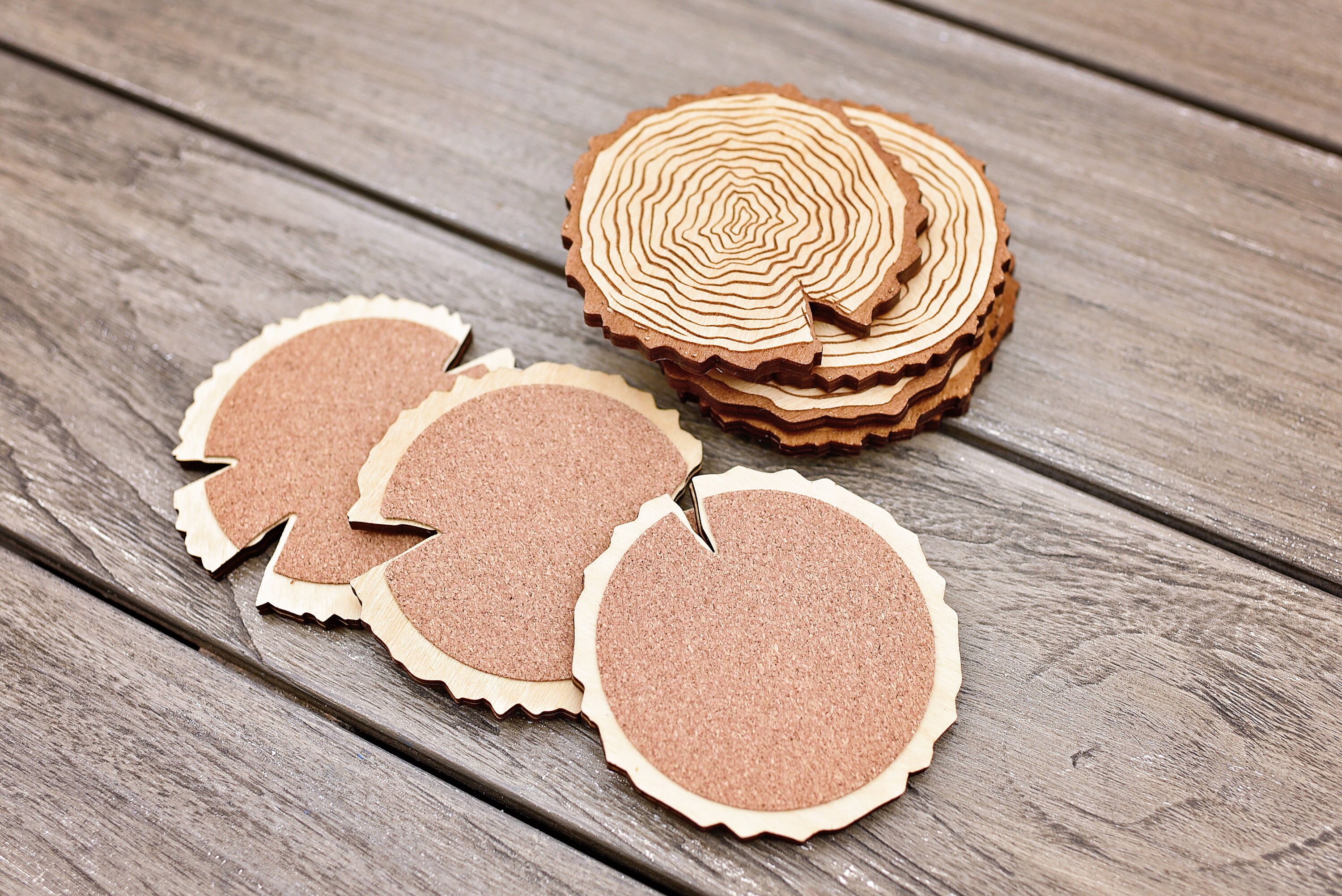 Tree Trunk Cross Section Laser Engraved Wood Coasters | Wood Grain ...