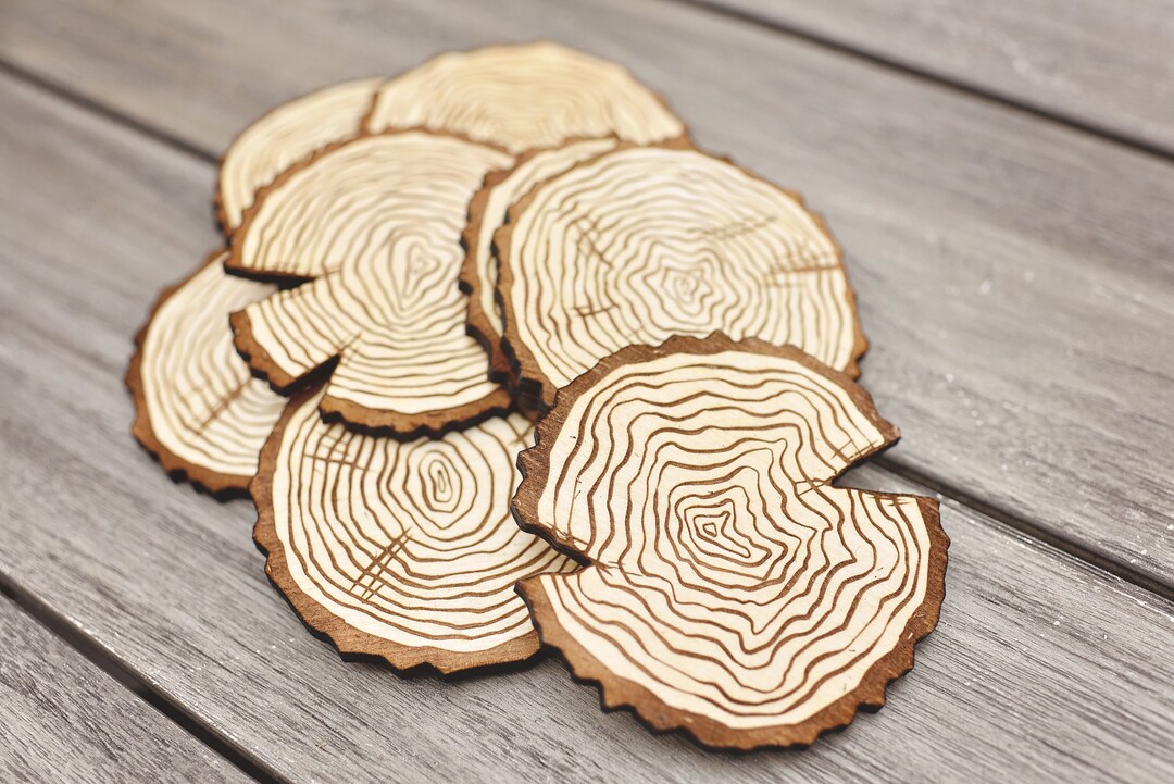 Tree Trunk Cross Section Laser Engraved Wood Coasters | Wood Grain ...