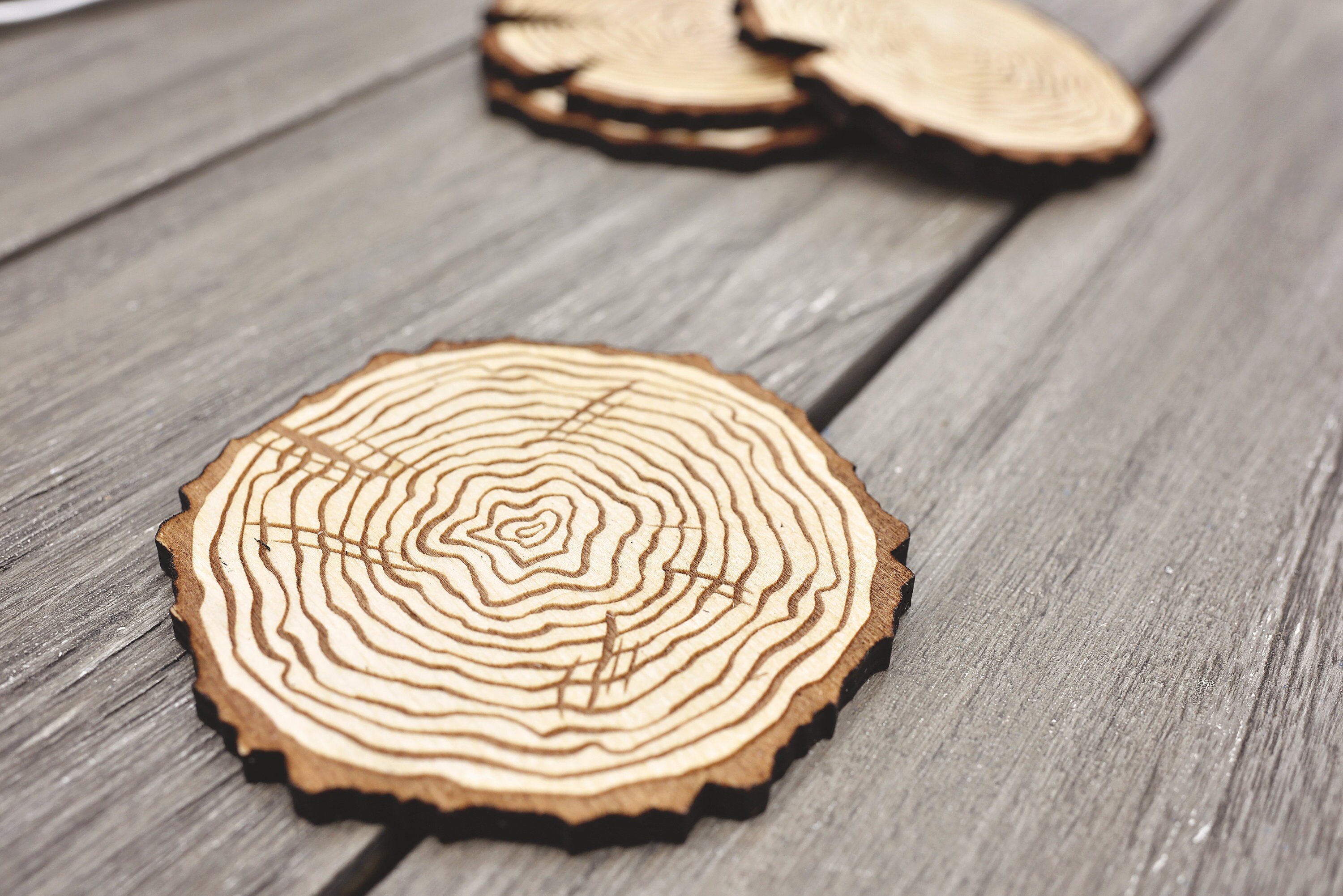 Tree Trunk Cross Section Laser Engraved Wood Coasters | Wood Grain ...