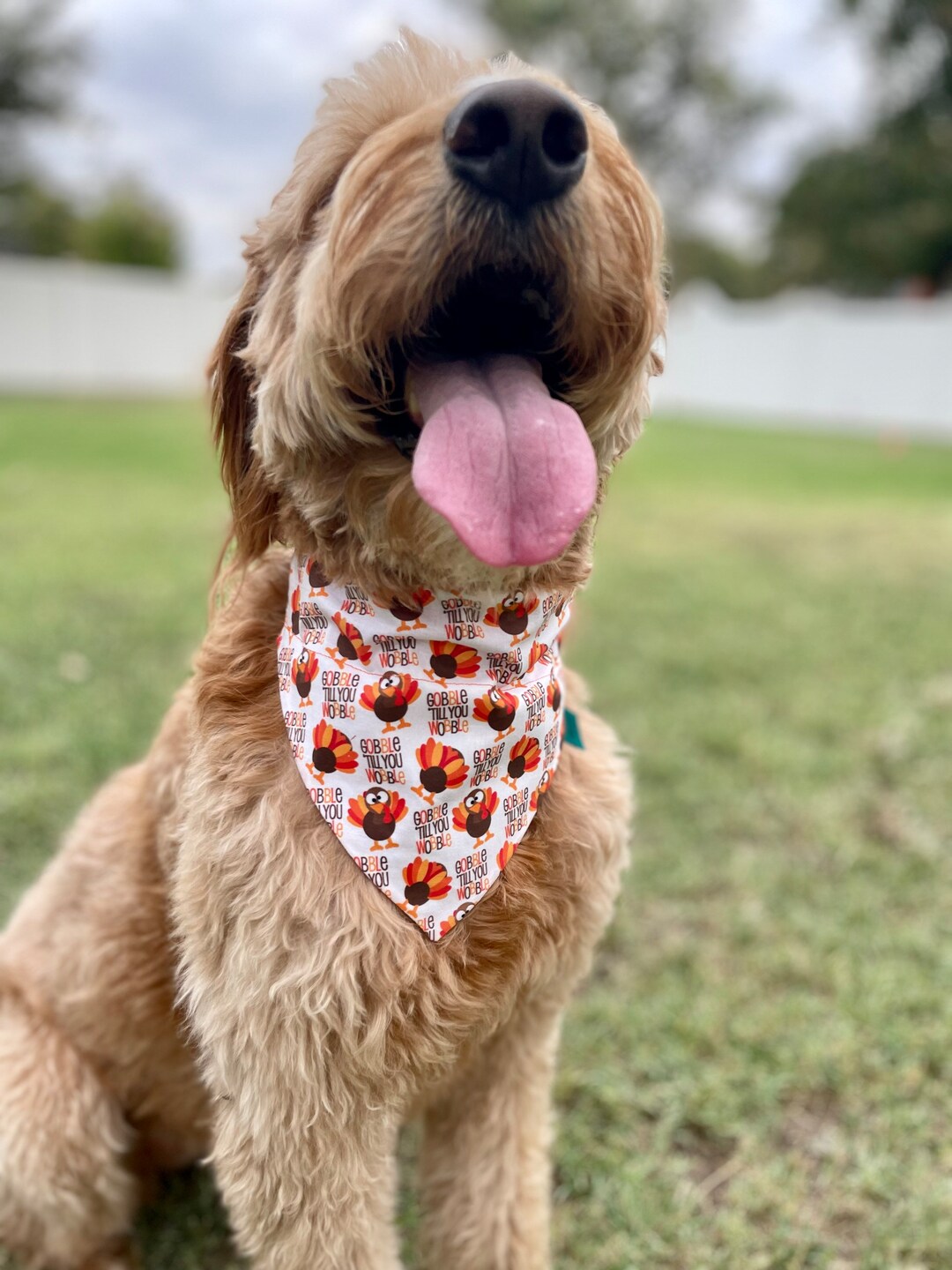 Gobble Til You Wobble/orange With White Hearts Reversible Dog Bandana ...