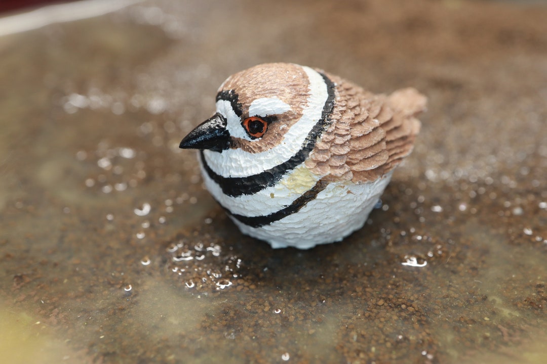 Killdeer Figurine Handmade Bird Sculpture Figurine Bird Miniature - Etsy