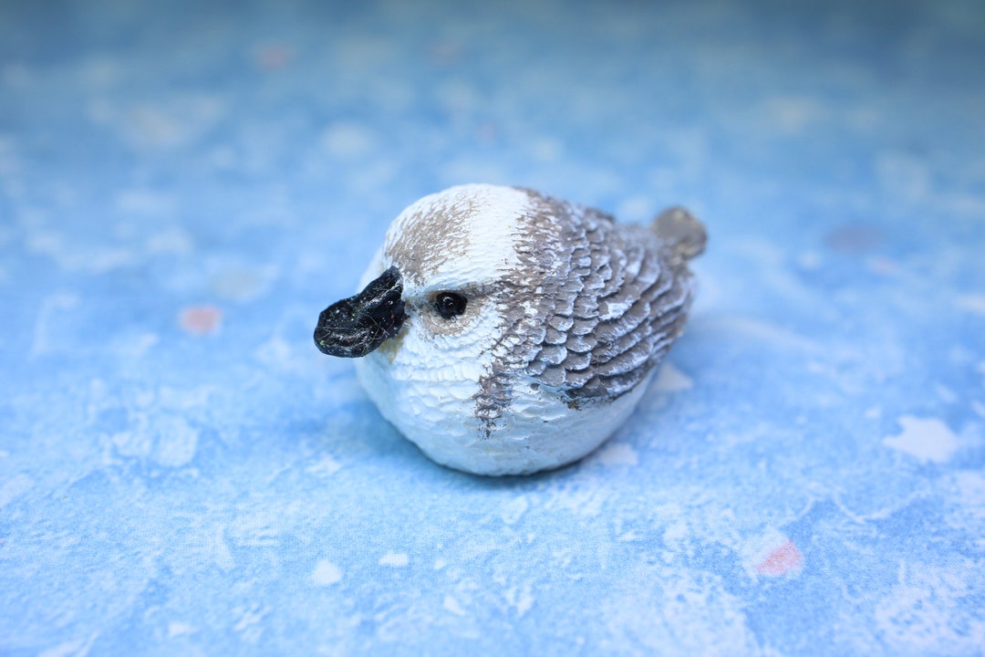 Spoon-billed Sandpiper (non-breeding Plumage) Figurine Handmade Bird ...
