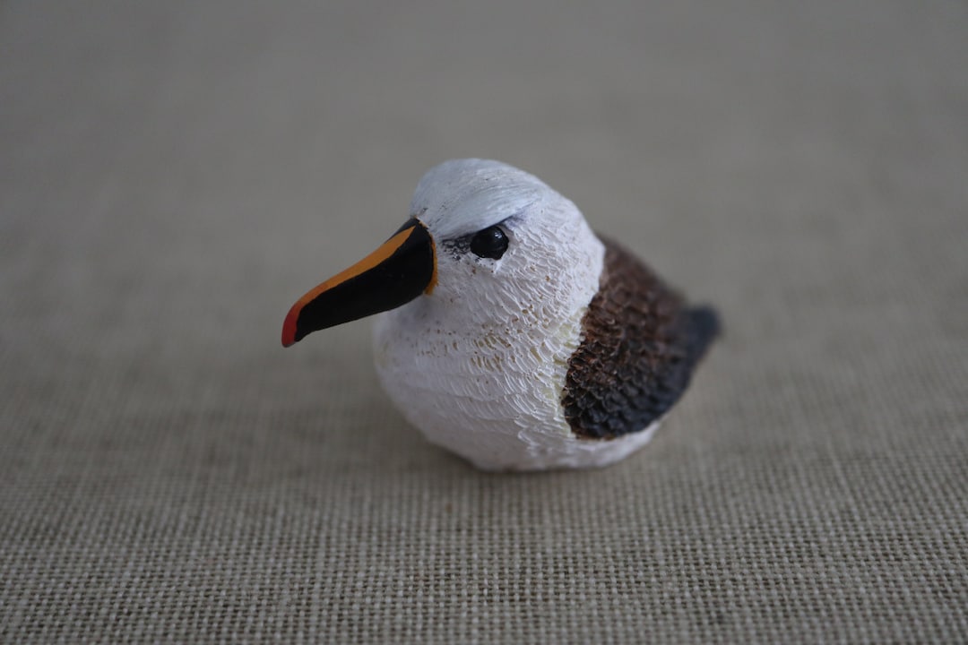 Yellow-nosed Albatross Figurine Handmade Bird Sculpture Figurine Bird ...