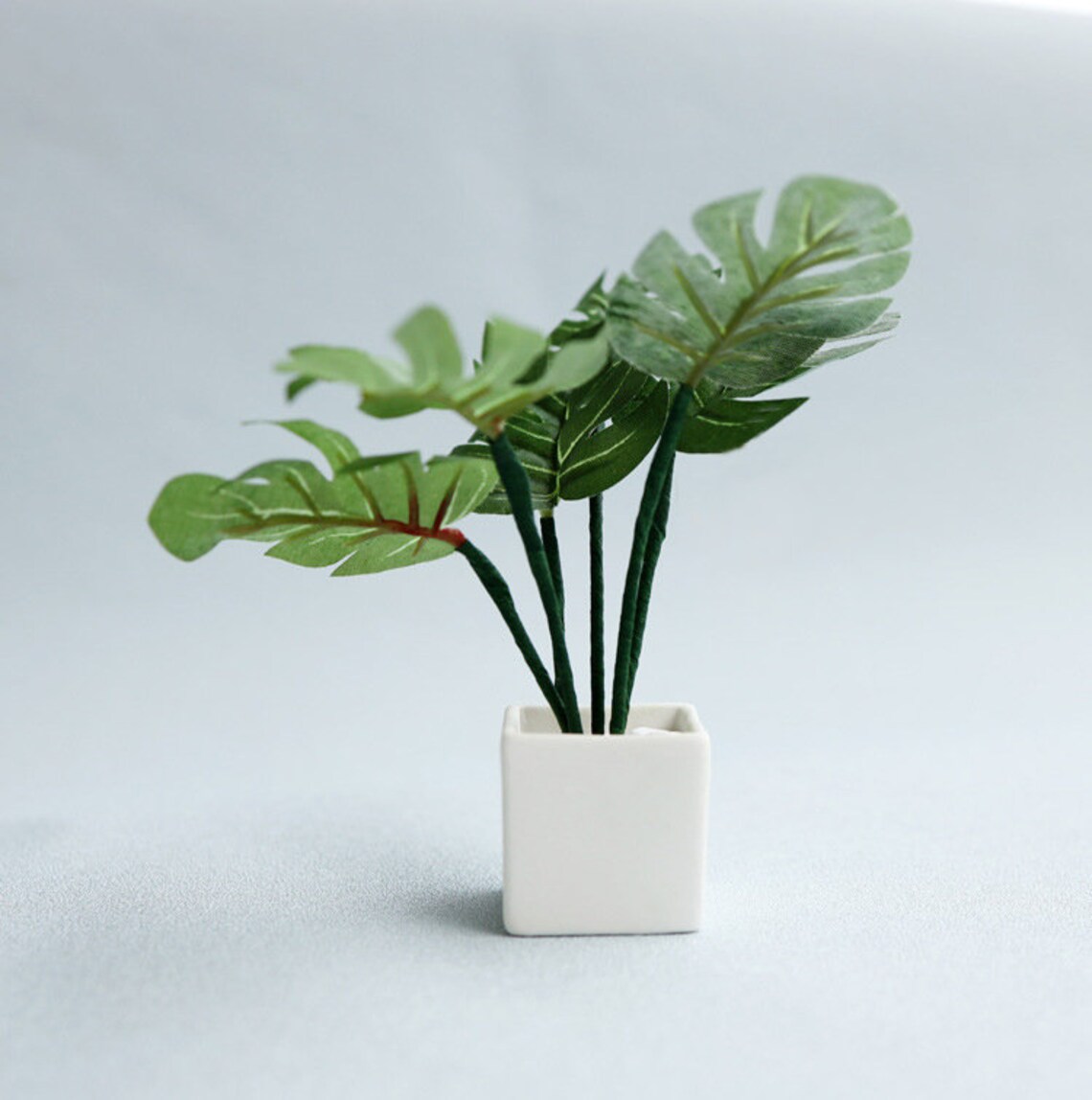 Dollhouse miniature plants miniature Monstera deliciosa mini | Etsy