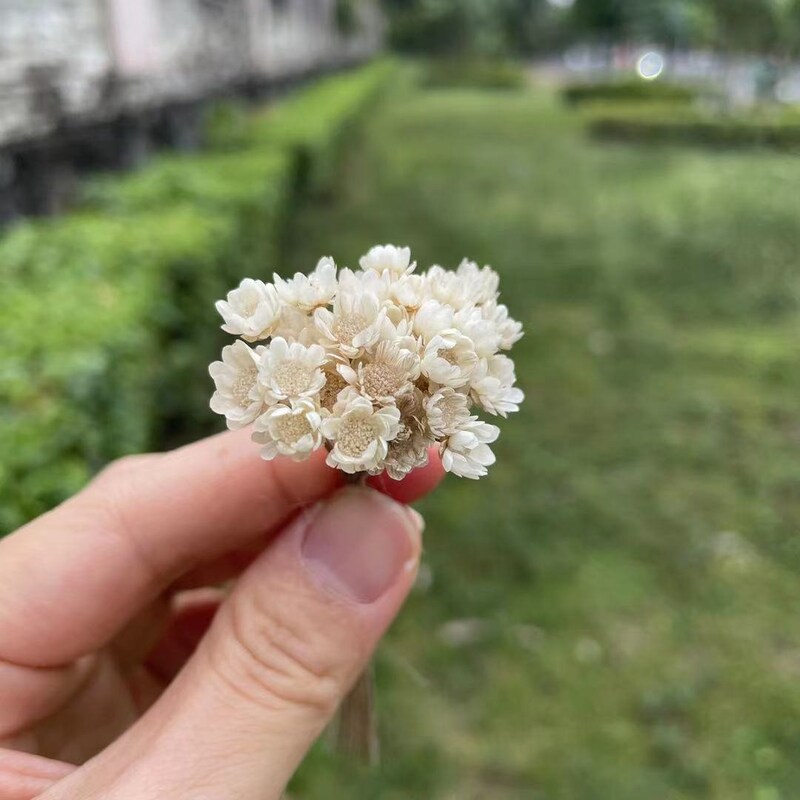 Miniature Flower Kit - Etsy
