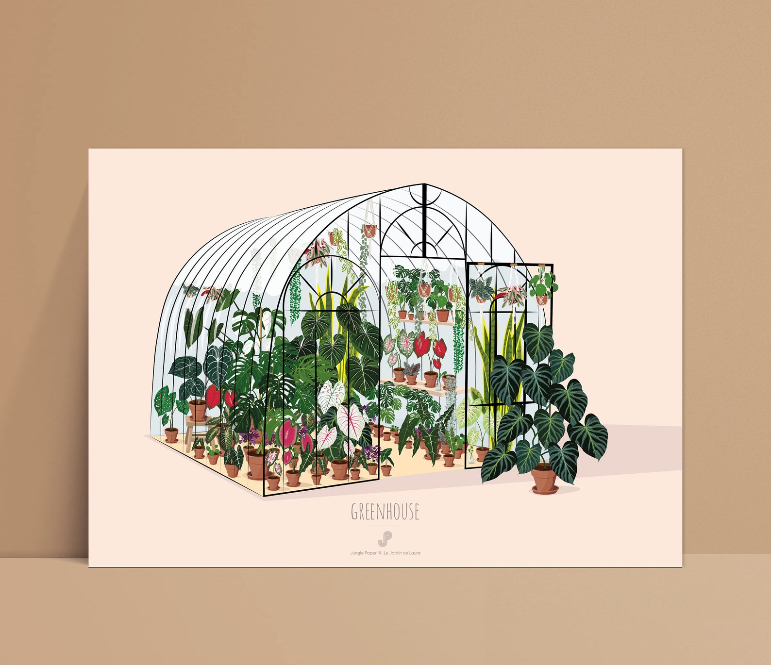 GREENHOUSE - Plant Poster A3/A4 - Plant Illustration, Botany, Indoor ...