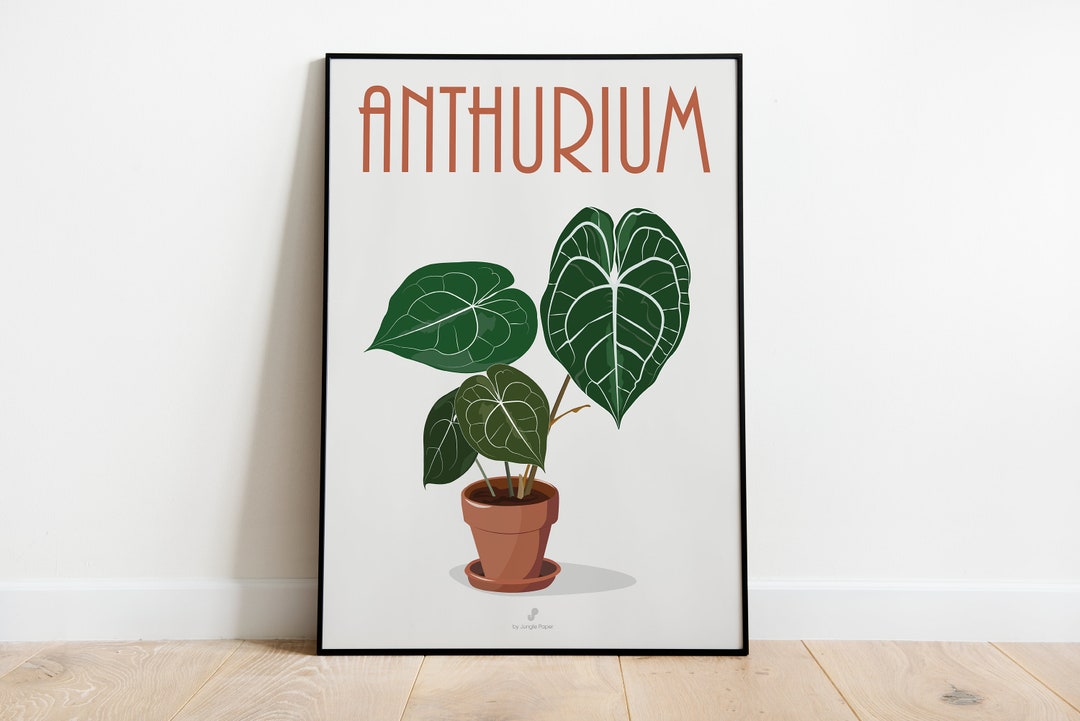 ANTHURIUM CLARINERVIUM - Plant Poster A3/A4 - Poster, Plant ...