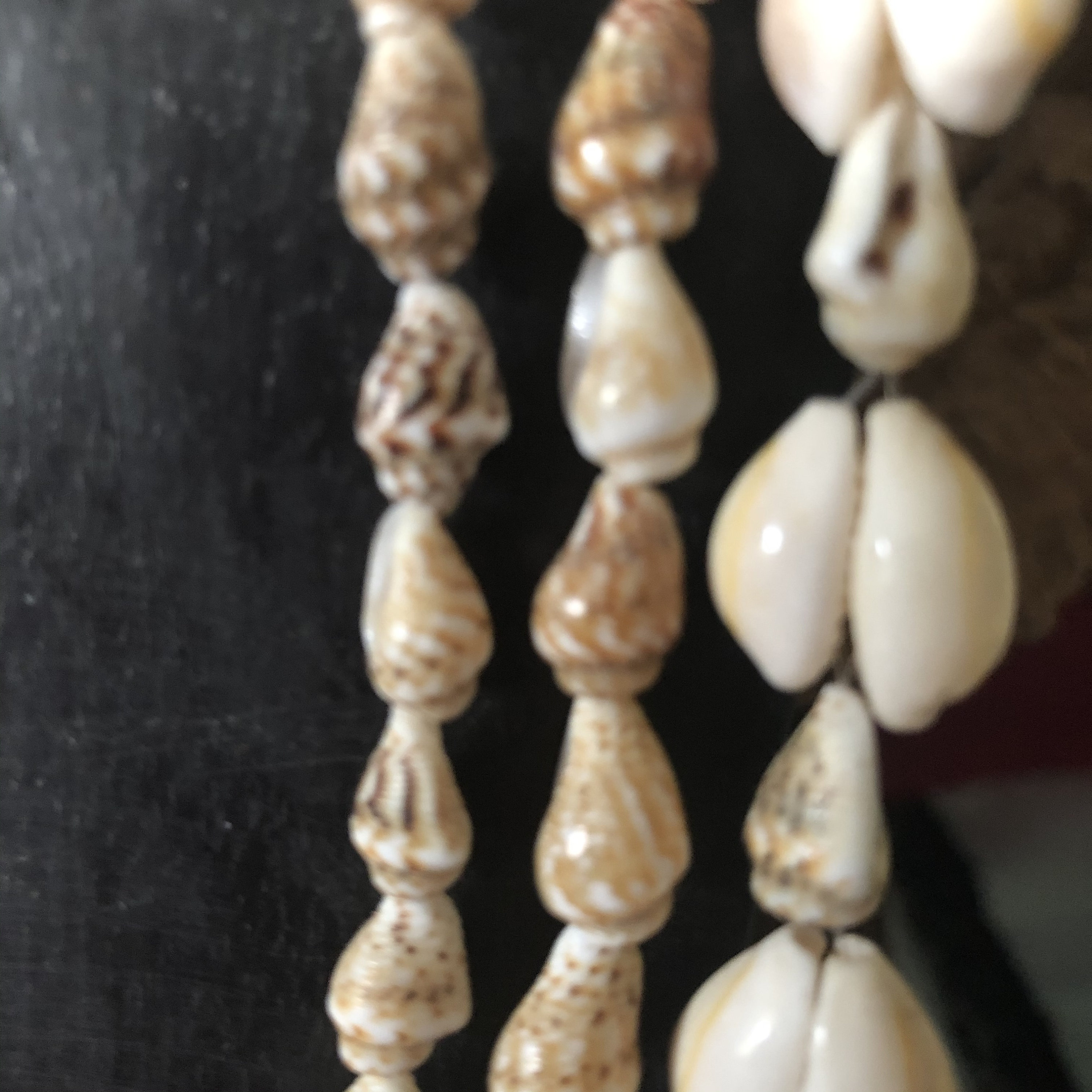 3-strings per Set. Strings of Cowrie Trochus and White or | Etsy