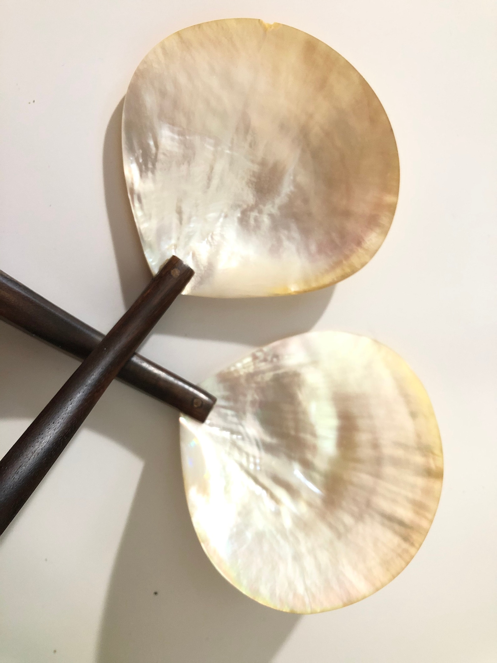 Conjunto de cuchara de servicio de concha. Elegante Madre de | Etsy