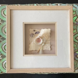 Framed Sea Shell Collage Art . Delicate Composition of Sea Shells ...