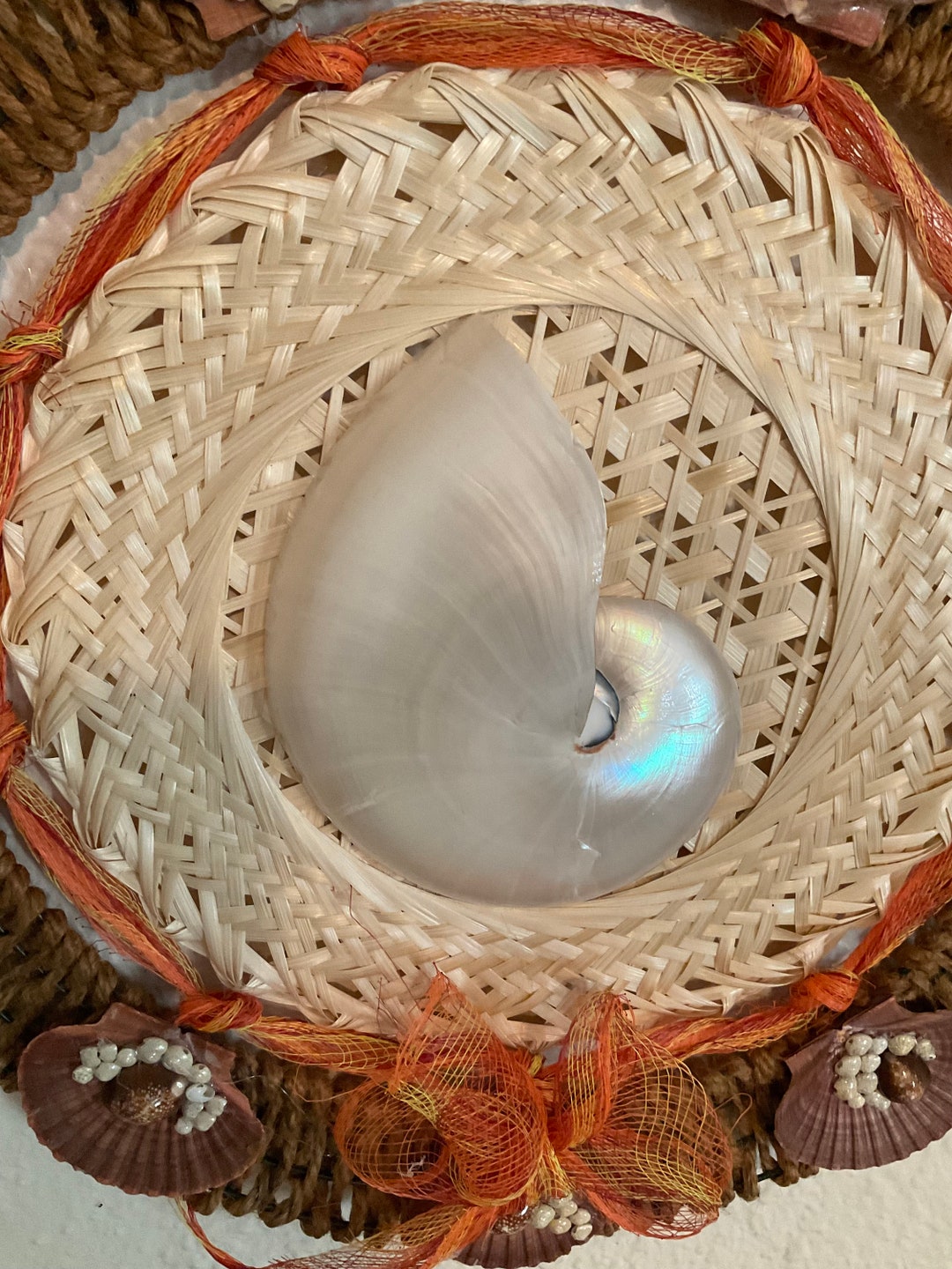 Real Nautilus Shell Wreath , Wall Decor, Real Scallops, Tiger Conch ...