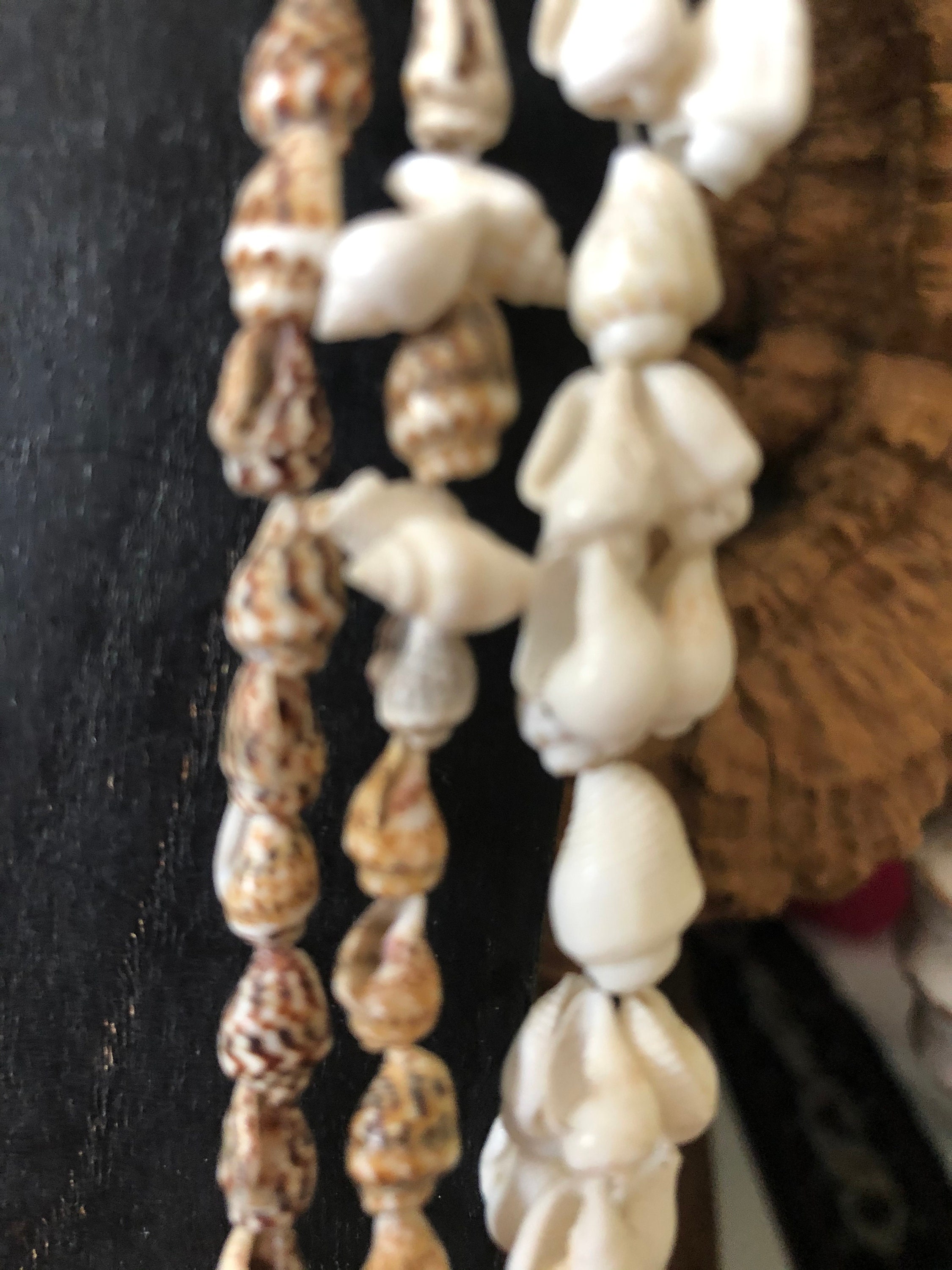 3-strings per Set. Strings of Cowrie Trochus and White or - Etsy
