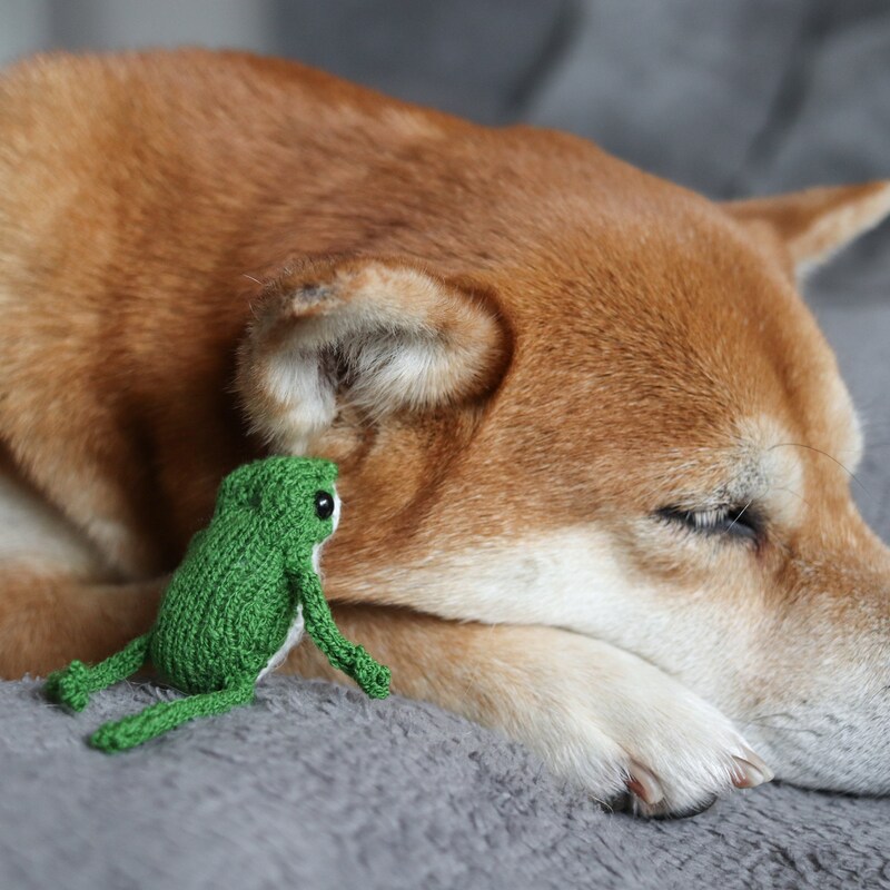 Miniature Frog - Etsy