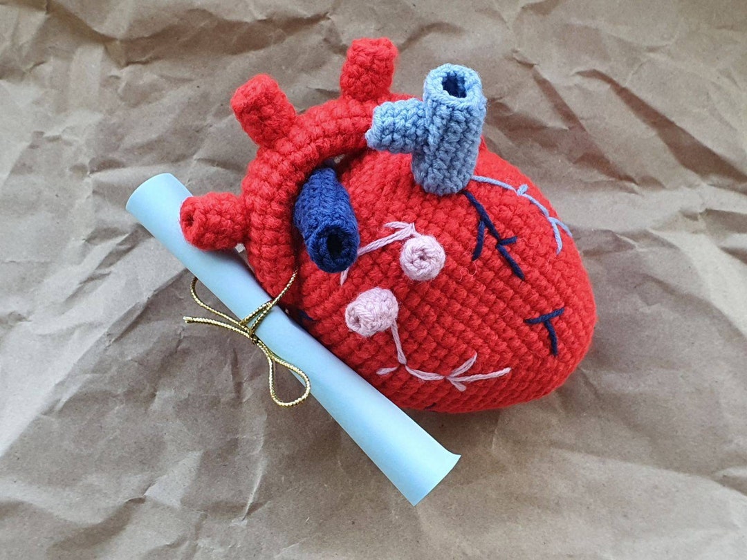 Anatomical Heart Stuff as Nurse Birthday Gift, Custom Human Heart 3d ...