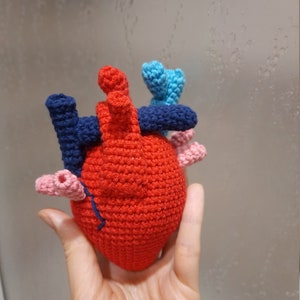 Human Heart Crochet PATTERN Amigurumi, Real Heart as Gift Cardiologist ...