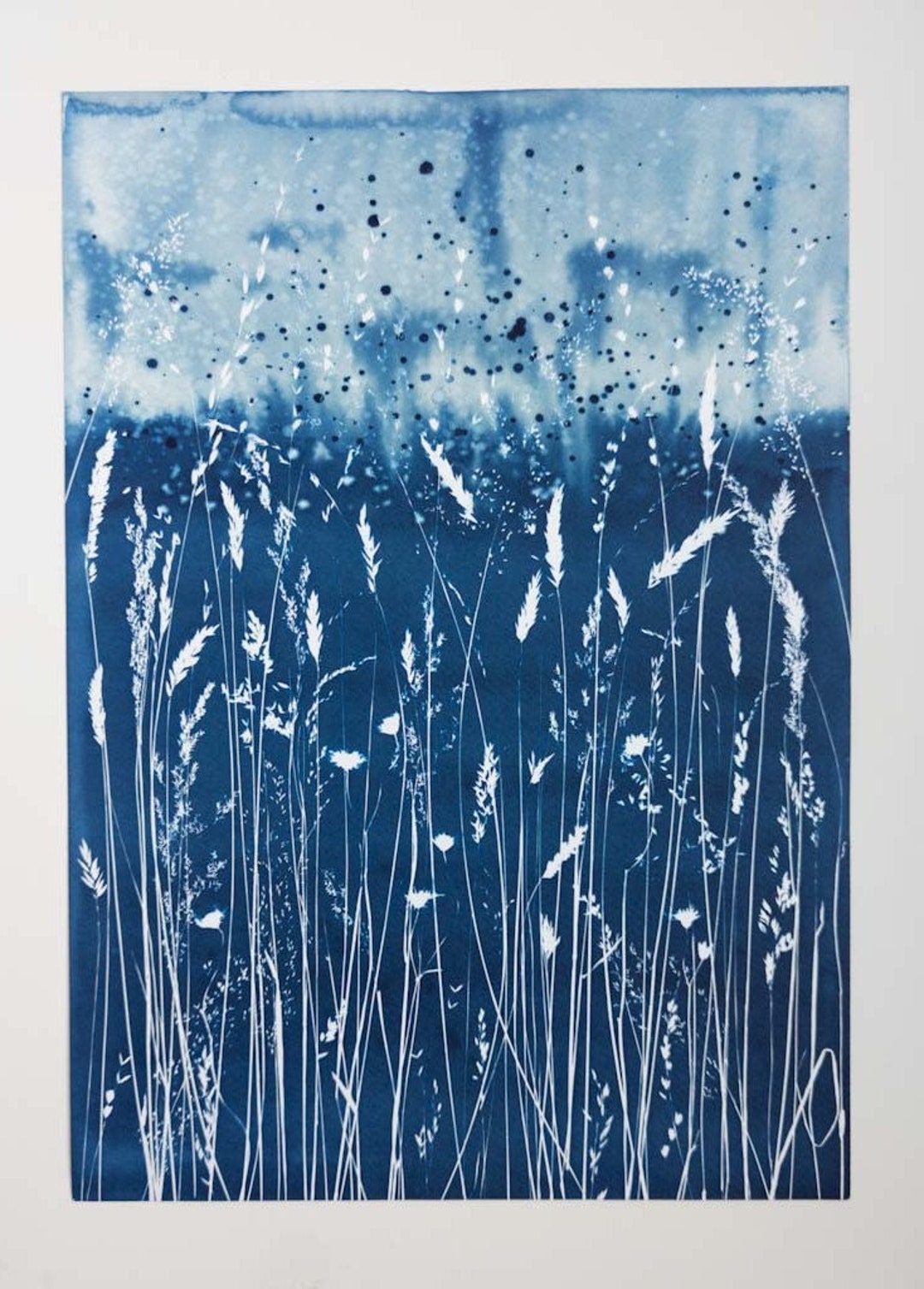 A3 Unmounted, Unframed Original Botanical Art Cyanotype Print - Etsy