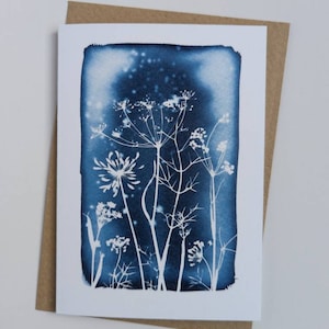 Pack of Eight Blank Greetings Cards With Reproductions of My Cyanotype ...