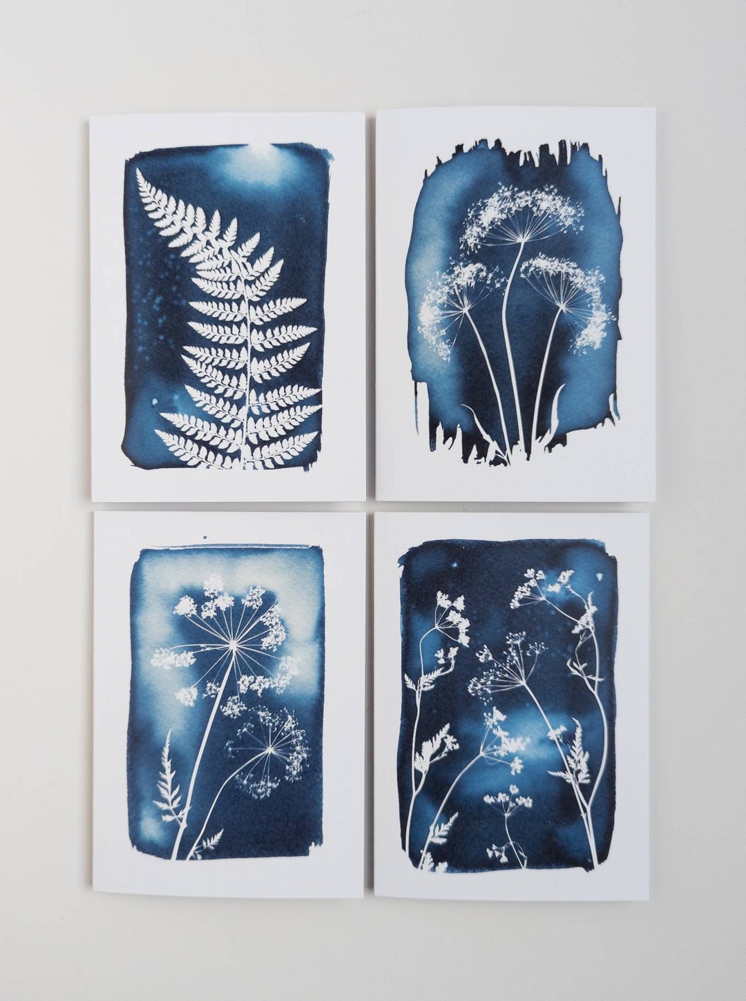 Pack of Four Blank Greetings Cards With Reproductions of My Cyanotype ...
