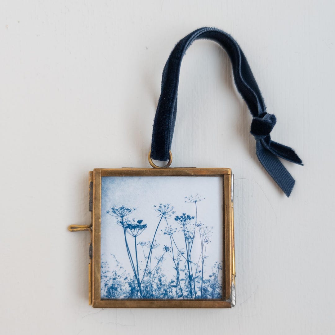 Original Botanical Art Cyanotype Print in a 5 X 5cm Metal Photo Frame ...