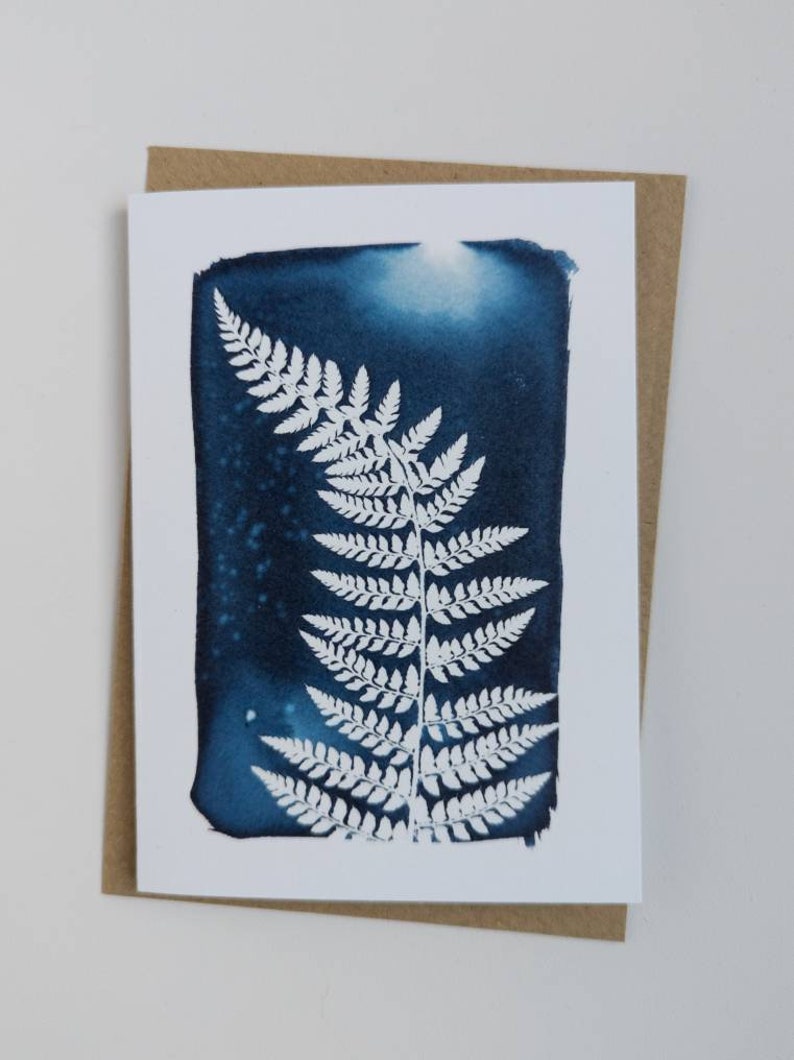 Pack of Eight Blank Greetings Cards With Reproductions of My Cyanotype ...