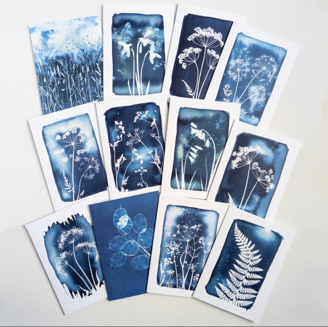 Pack of Twelve Blank Greetings Cards With Reproductions of My Cyanotype ...