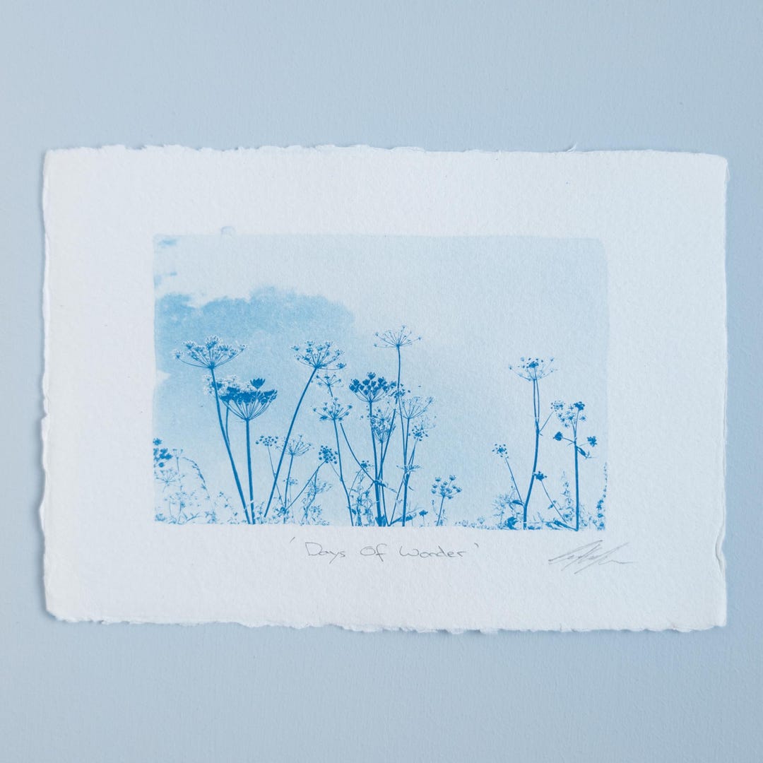 Original Art Cyanotype Print on Handmade Khadi Paper - Size A5 - Etsy
