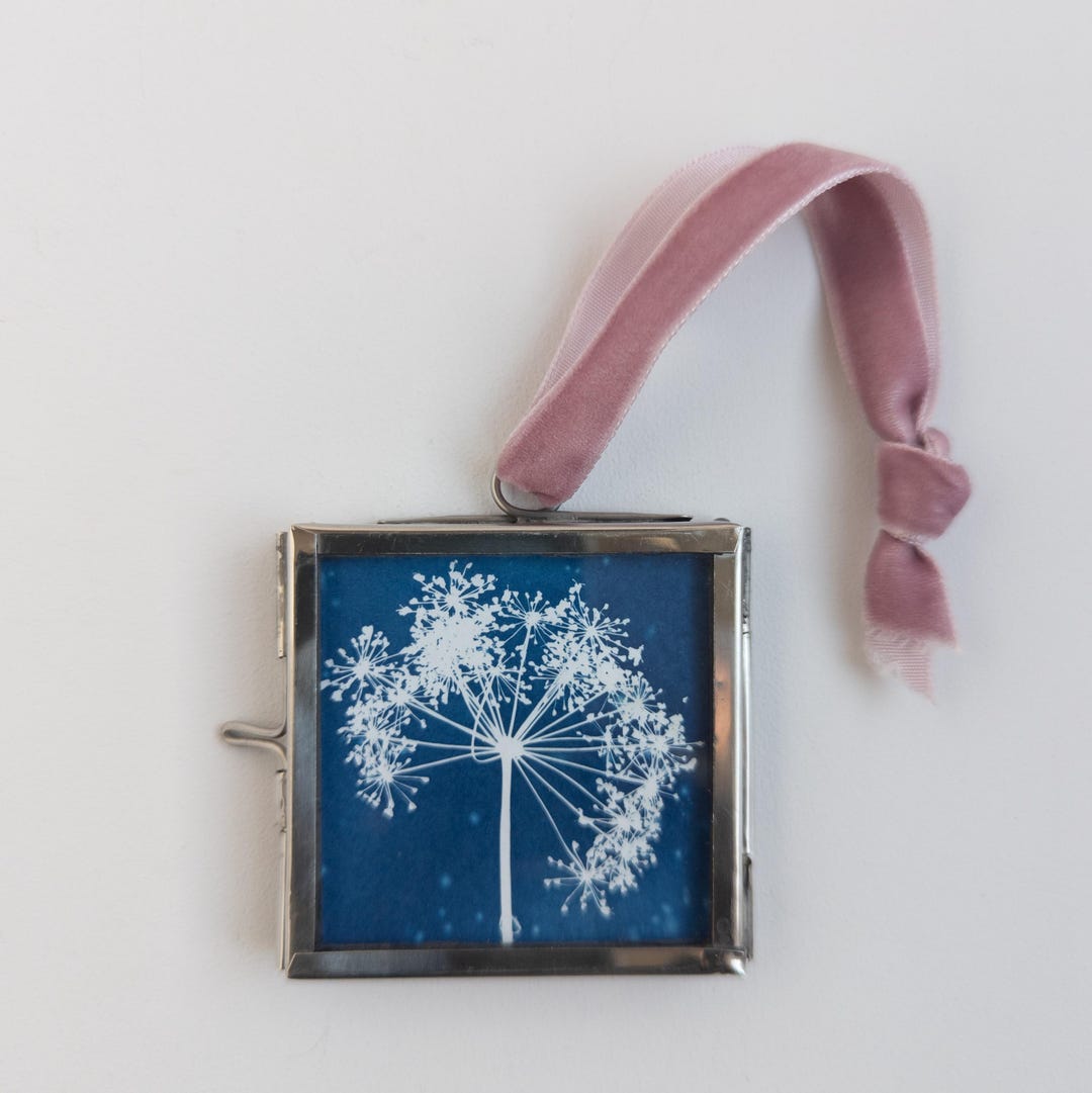 Original Botanical Art Cyanotype Print in a 5 X 5cm Metal Photo Frame ...