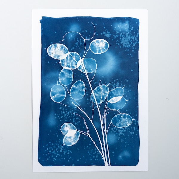 Cyanotype Print - Etsy
