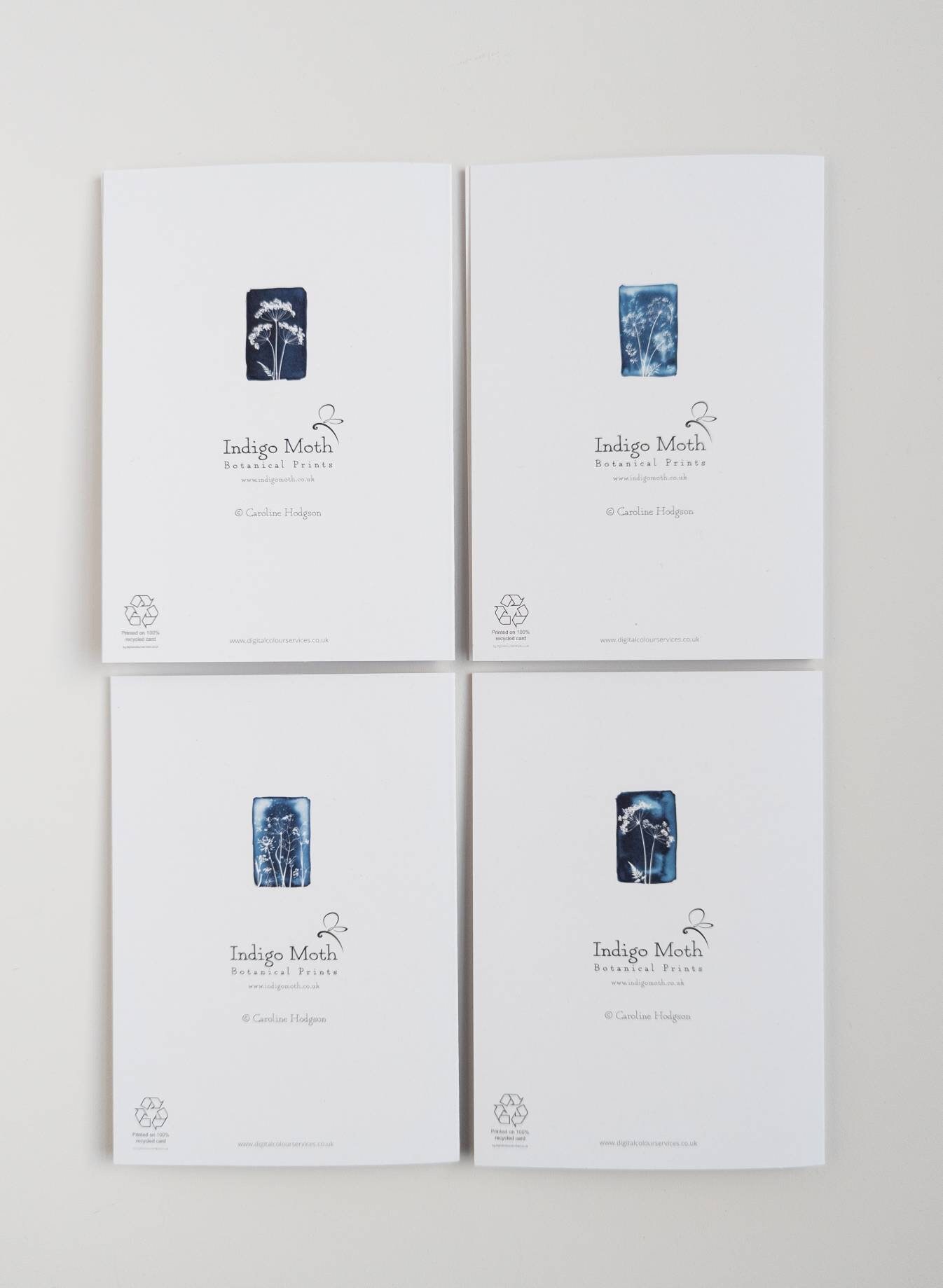 Pack of Four Blank Greetings Cards With Reproductions of My Cyanotype ...