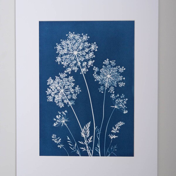 Cyanotype Print - Etsy