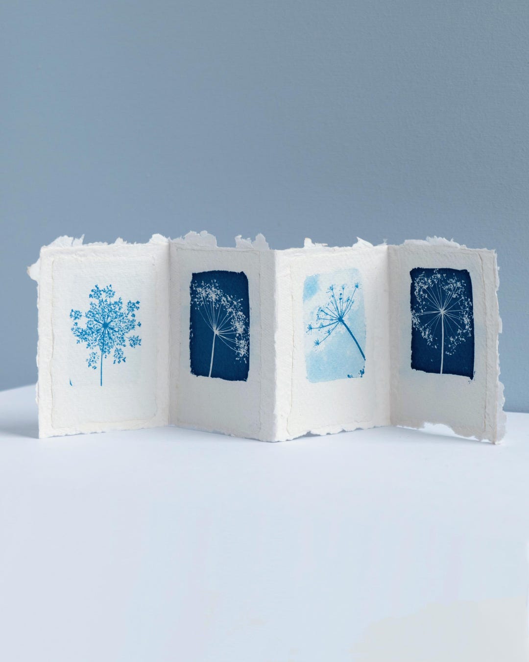 Original Art Cyanotype Mini Concertina / Accordion Book on Handmade ...