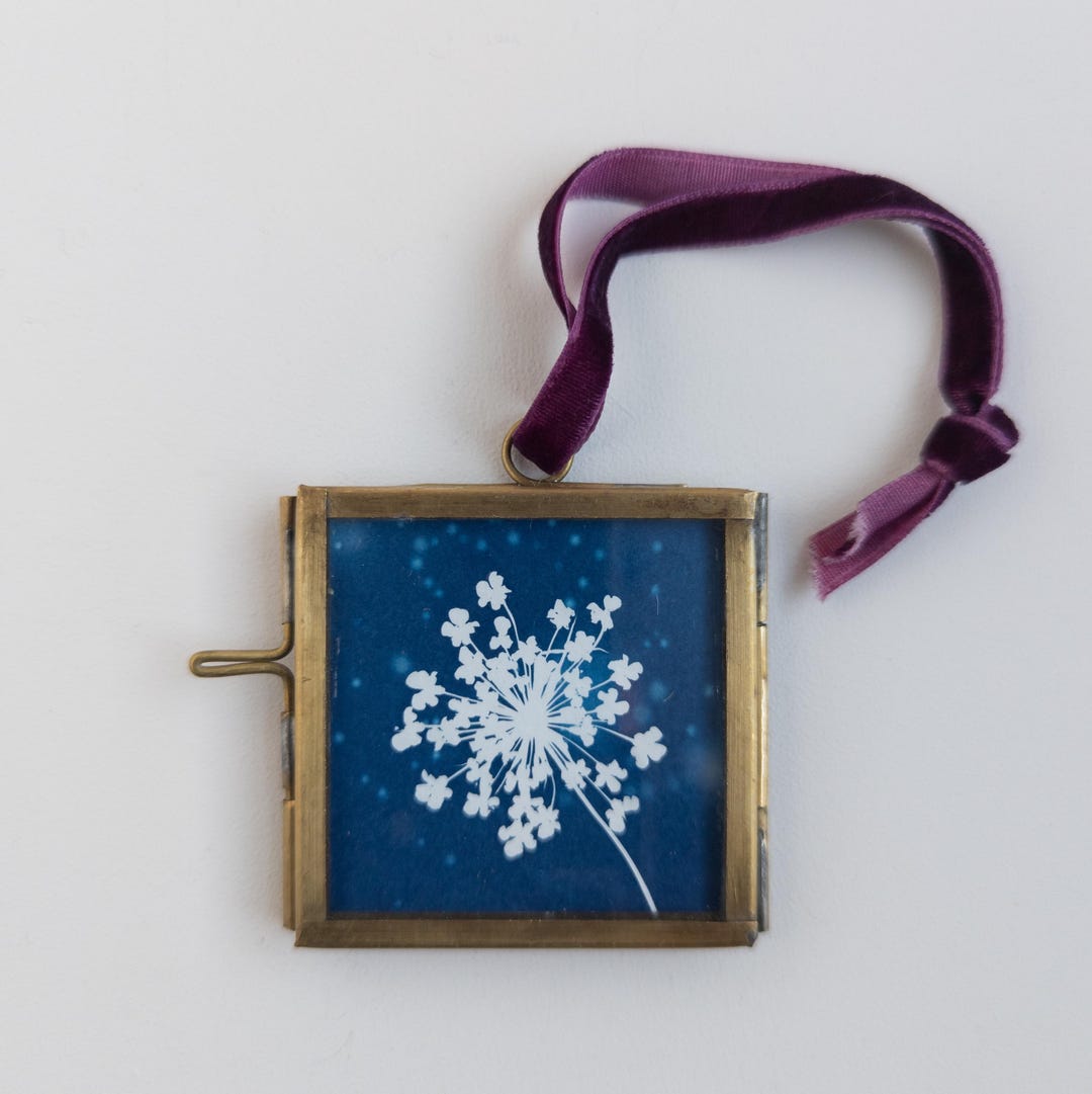 Original Botanical Art Cyanotype Print in a 5 X 5cm Metal Photo Frame ...